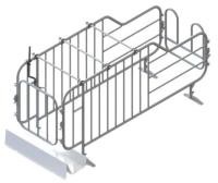 China Swine Farming Equipment Individual Gestation Pen For Sow for sale