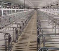 China PVC Ventilating Livestock Farm Equipment Automatic Galvanized Steel for sale