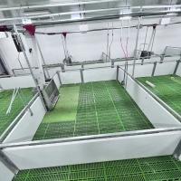 China Stainless Steel 304 Livestock Farming Milk Feeder Easy To Clean Low Maintenance for sale