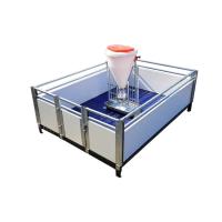 China Pig Farm Group Housing Weaning Cage For Young Pigs for sale