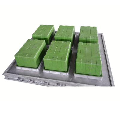 China Custom EPS Foam Seedling Tray Mold Aluminum Polystyrene Foam Tooling for Agricultural Nurseries for sale