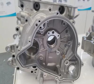 China Custom Aluminum EPS Foam Mould with Anti-Corrosion Heat Treatment for Auto Parts Die Casting Applications for sale