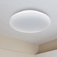 China 3000 To 6000k Dimmable 24w Outdoor Led Oyster Light With Sensor For Room Ceiling for sale