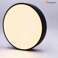 China Decorative Bathroom  WiFi Circular Slim 30W Smart LED Ceiling Light Fixture for sale