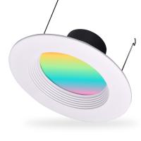 China Smart Wifi Tuya RGB Dimmable Wifi Smart 3w 9w Cob LED Downlight for sale