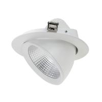 China Kitchen Extra Warm White 170MM 175mm cut out 50W LED Scoop Downlight for sale