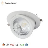China Gimbal Wall Washer Rotatable COB LED Scoop Downlight 40W 30W 20W 50W for sale