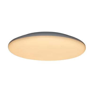 China Bedroom Baby Home Smart Smd IP65 Dimmable Led Bedroom Ceiling Lights Lamps for sale