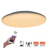 China Motion Activated LED Ceiling Lights for sale