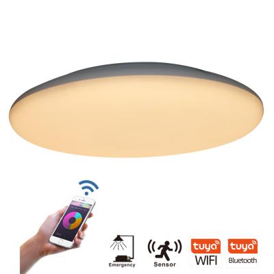 China Motion Activated LED Ceiling Lights for sale