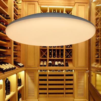 China Wifi Ceiling Mounted 30cm 25cm Smart Led Oyster Light For Corridors Hallway for sale