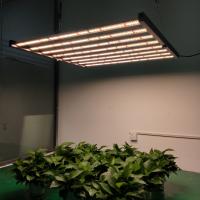 China 640 w 2.8umol/J HPS Grow Lamp Replacing Indoor Waterproof Grow Light for sale