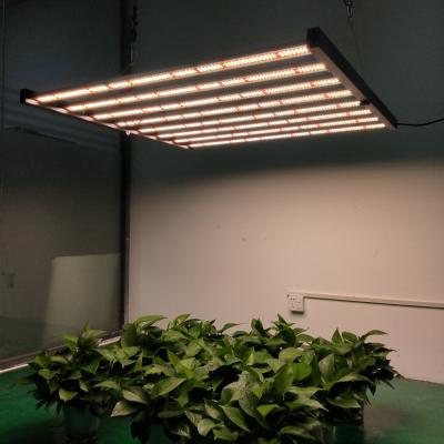China 640W Gavita Custom Spectrum For Indoor Home Garden Foldable Plant Grow Light LED for sale