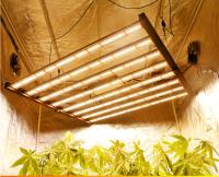 China Dimmable 8 Bars Foldable Led Grow Light 640W Full Spectrum For Hydroponics Farm Vertical Farm Grow Rack for sale