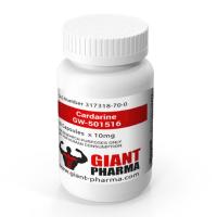 China PVC GW501516 Pill Bottle Labels With Customized Design And Size for sale
