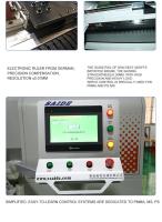 China High Precision 0.01mm Automatic Panel Saw with 2600mm Cutting Length and Automatic Feeding for Acrylic and Wood for sale