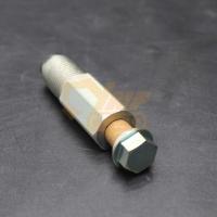 China Diesel Fuel Limited Pressure Valve LPV Valve 8973813460 for HP3 Pump 5000 pcs per month for sale