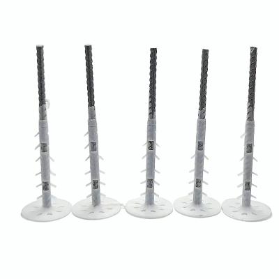China 60×200MM HDPE Plastic Insulation Anchors with 8MM Steel Nails for Building Panels & Roofing (ISO9001 Certified) for sale