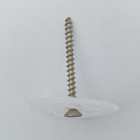 China 50MM PP PE Plastic Insulation Fixing Washers - ISO9001 Certified, Fast Delivery for sale
