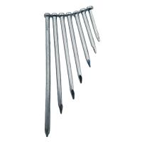 China 7.6MM Plastic Insulation Board Nails for Concrete Walls - ISO9001 Certified (50MM Model) for sale