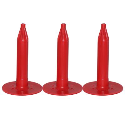 China HDPE Plastic Insulation Anchor Nail with Washer - 25MM-250MM Length, ISO9001 Certified for sale