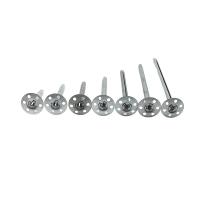 China Hex Head Timco Insulation Fixings - Metal Anchor Bolts for Building Insulation (Various Sizes, ISO9001 Certified) for sale