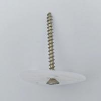 China 0.5mm Plastic Washers for Insulation Board - 10 MPa Tensile Strength, Flame Retardant, ISO9001 Certified for sale