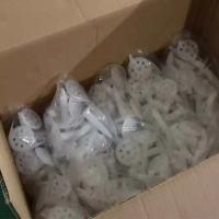 China HDPE Plastic Insulation Fasteners - ISO9001 Certified External Wall Insulation Nails (60mm Head, 40-100MM Length) for sale