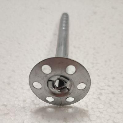 China Stainless Steel Mushroom Insulation Anchor Bolt Heavy Duty - Galvanized Metal Construction Fastener with Coarse Thread for sale