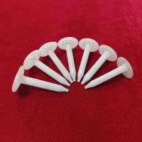 China Popular Insulation Nails with Round Step Shank 120 mm Foam Board Insulation Nails for sale
