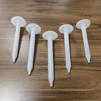 China Durable Plastic Insulation Nails For Exterior Wall For Enhanced Building Structure And Thermal Efficiency for sale