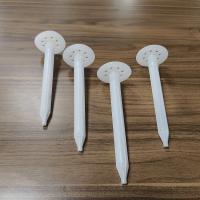 China Factory Price Plastic Wall Insulation Concrete Nails HDPE Exterior Wall Insulation Anchor Nails for sale