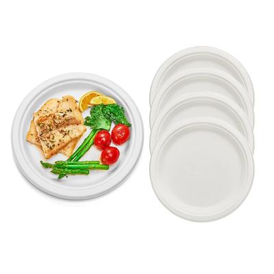 China Compostable Sugarcane Bagasse Plate 9 Inch Biodegradable Pulp Molded Microwaveable for sale