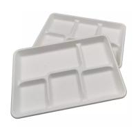 China 260mm Sugarcane Bagasse 5 Compartment Meal Tray Compostable Pulp Molded Eco Friendly for sale