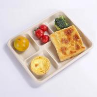 China 260mm Sugarcane Bagasse 5 Compartment Meal Tray Compostable Pulp Molded Eco Friendly for sale