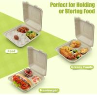 China 8 Inch Biodegradable Sugarcane Bagasse Clamshell 3 Compartment Disposable Lunch Box for sale