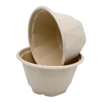 China Eco Friendly Compostable Sugarcane Bagasse 750ml Takeaway Bowls With Lids for sale