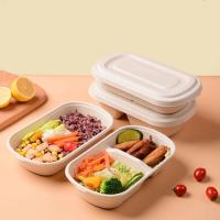 China Biodegradable 2 Compartment Sugarcane Bagasse Lunch Container 850ml 236x132mm for sale