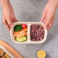 China Biodegradable 2 Compartment Sugarcane Bagasse Lunch Container 850ml 236x132mm for sale