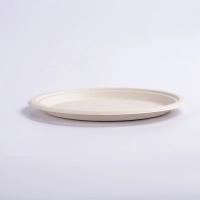 China 100 Compostable Oval Fruit Food Paper Bagasse Sugarcane Biodegradable Plates for sale