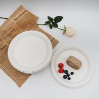 China 9 Inch Eco Biodegradable Bagasse Tableware 10in Round Sugarcane Waste Plates Pulp Molded for sale