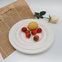 China 9 Inch Eco Biodegradable Bagasse Tableware 10in Round Sugarcane Waste Plates Pulp Molded for sale