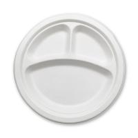 China Disposable Bagasse 10 Inch Sugarcane Compostable Plates 3 Compartment Plates for sale