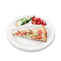 China Disposable Bagasse 10 Inch Sugarcane Compostable Plates 3 Compartment Plates for sale