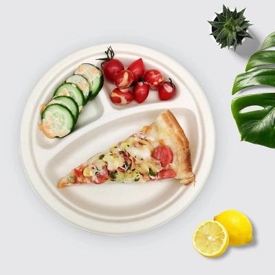 China Disposable Bagasse 10 Inch Sugarcane Compostable Plates 3 Compartment Plates for sale