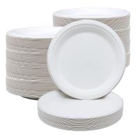 China Fruit Eco Compostable Sugarcane Plates Round Biodegradable Sugarcane Bagasse Plates for sale
