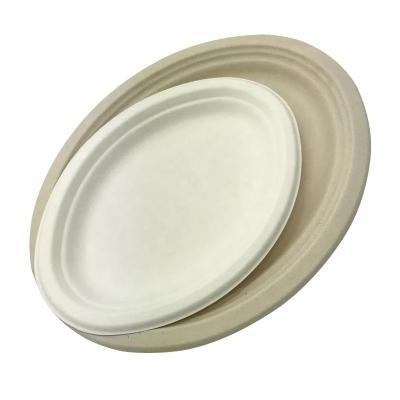 China 100 Compostable Oval Fruit Food Paper Bagasse Sugarcane Biodegradable Plates for sale