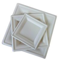 China 6in White Compostable Disposable Biodegradable Sugarcane Bagasse Plates for sale