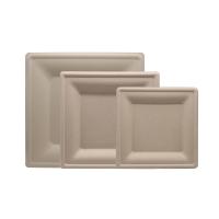 China Square 8in Eco Products Home Compostable Sugarcane Plates Biodegradable Disposable for sale