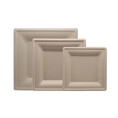 China Square 8in Eco Products Home Compostable Sugarcane Plates Biodegradable Disposable for sale